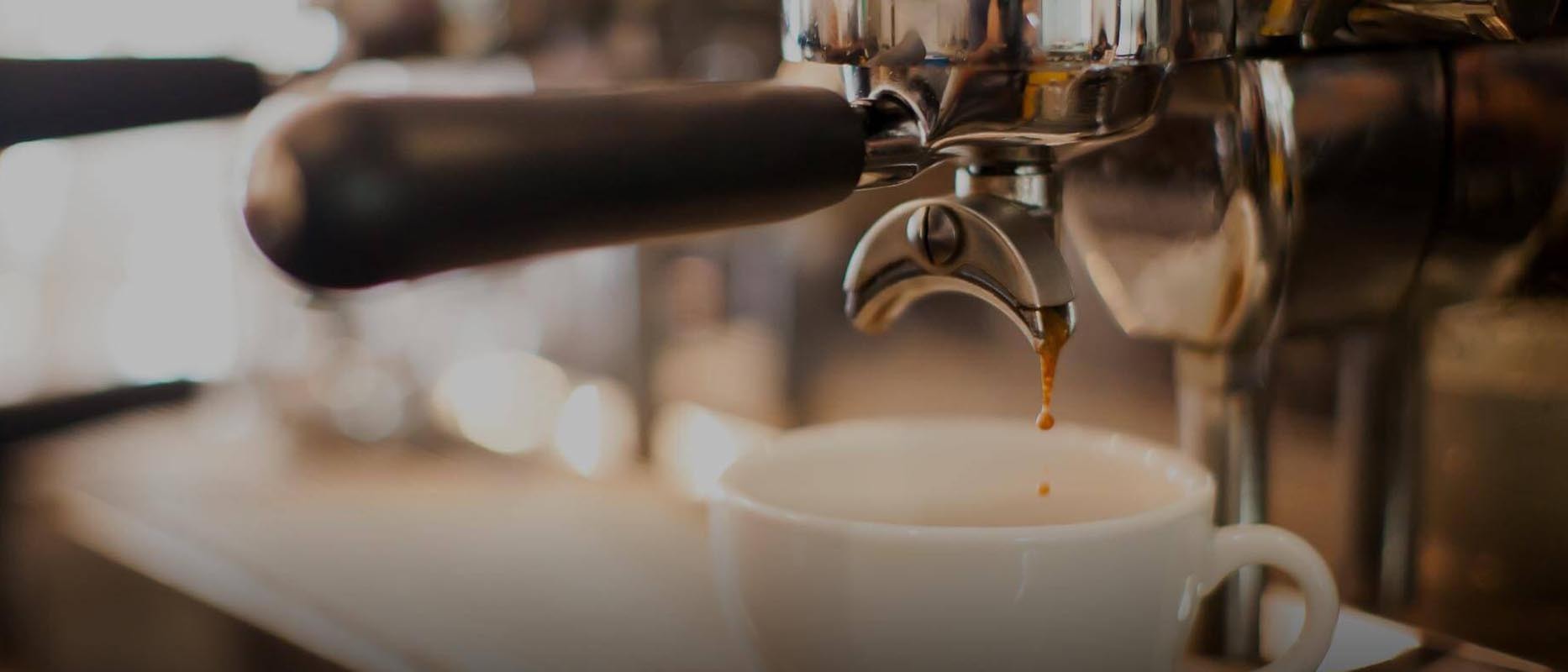 Goody Professional is the Culinary Champion